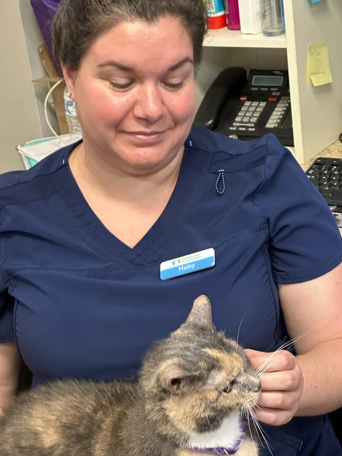 Our Team - Friendship Animal Hospital